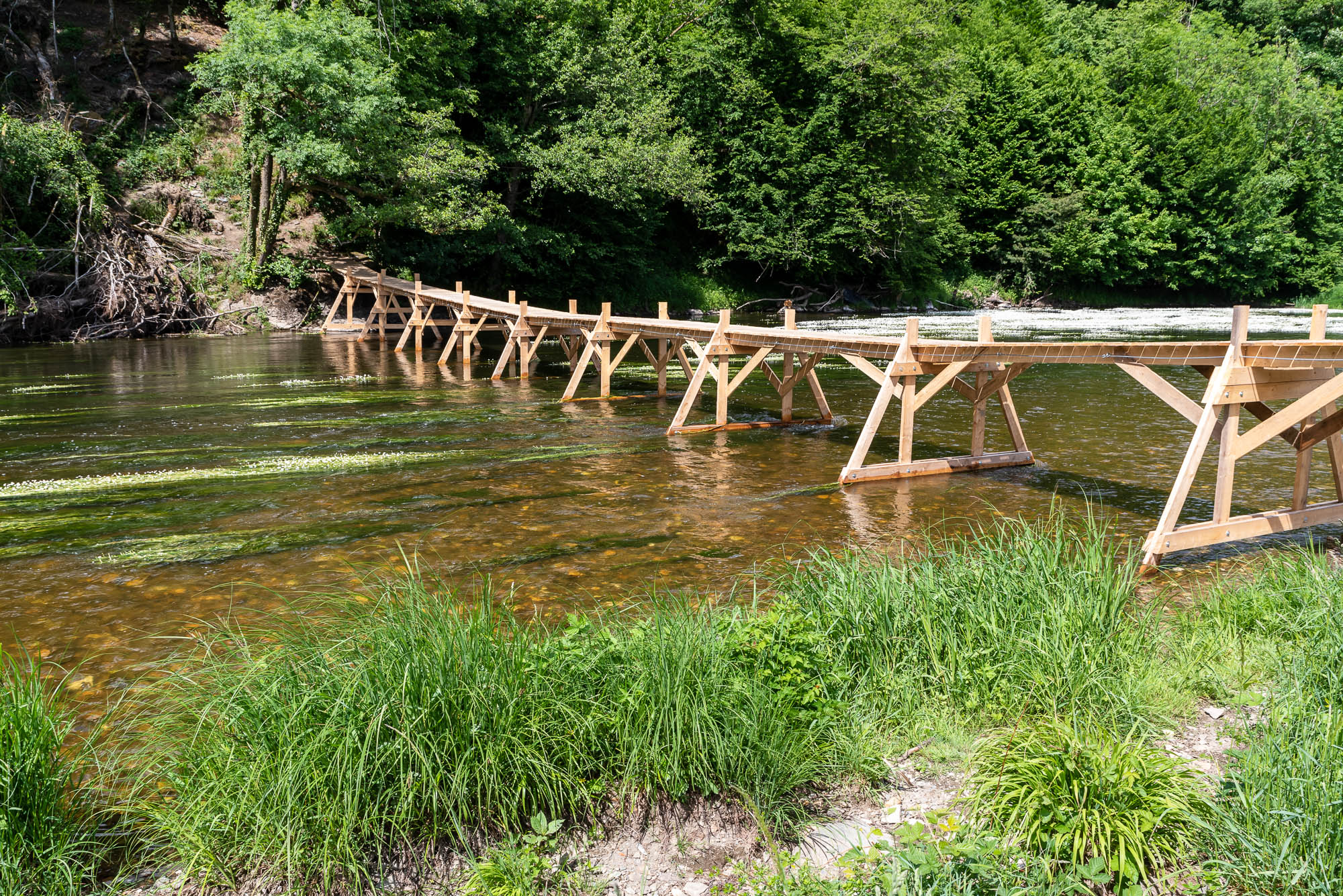 Balade dans la réserve naturelle de Bohan-Membre - Ardenne & Gaume