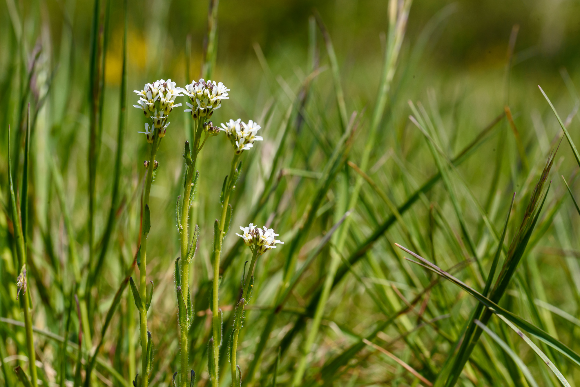 Ardenne & Gaume - Espaces naturels en Wallonie