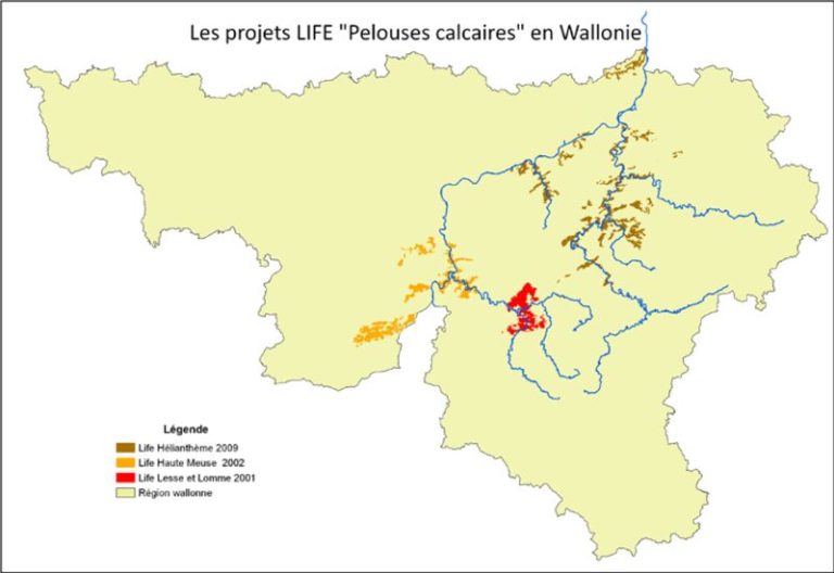 Les pelouses calcaires en Wallonie - Ardenne & Gaume