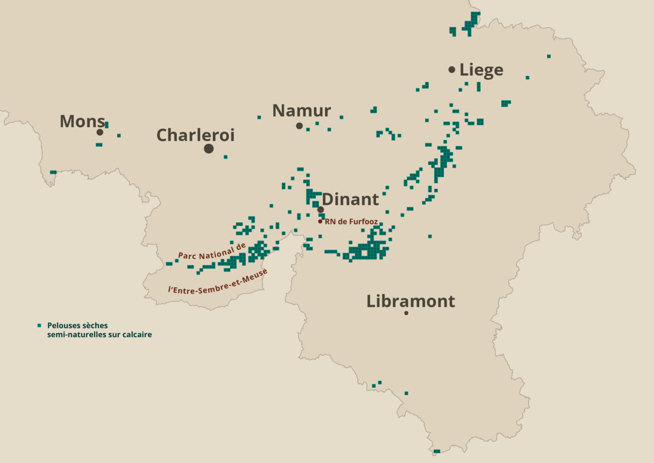 Les pelouses calcaires en Wallonie - Ardenne & Gaume