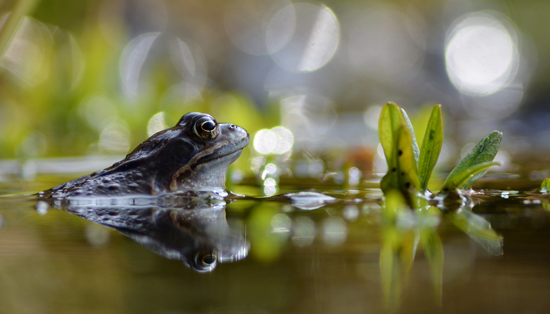 Ardenne & Gaume - Nos réserves naturelles en Wallonie